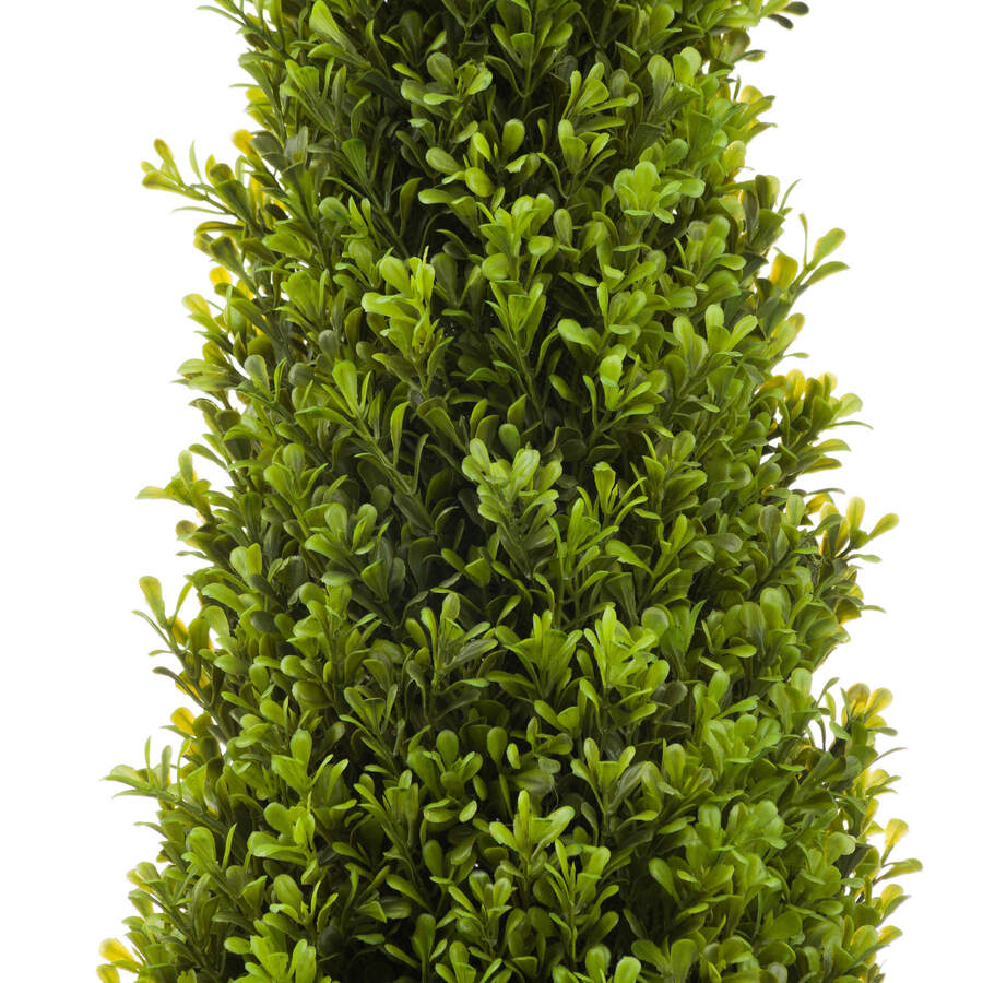 Large Topiary Pyramid – Nova Casa